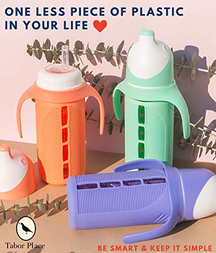 Tabor Place Glass Sippy Cup for Toddlers - The Luca | Spill-proof | Silicone Straw | Mint Green | 8 oz | Liquids Never Touch Plastic | Removable Handles