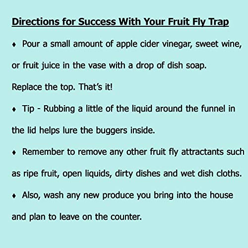 Fruit Fly Jar Trap - Decorative, Effective, Kid and Pet Friendly (Marbled Turquoise)