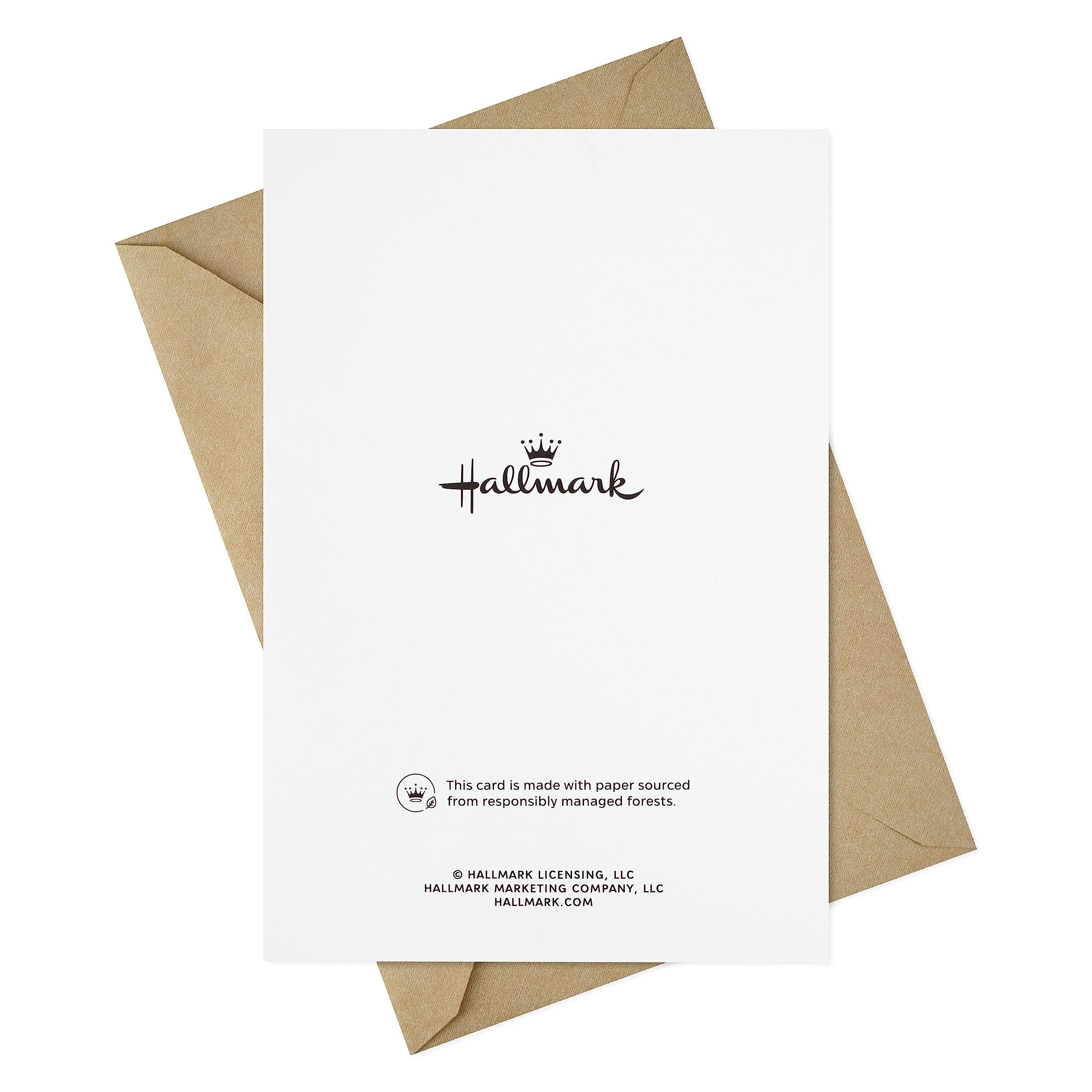 Hallmark Fall Thank You Cards (6 Cards with Envelopes) for Thanksgiving, Teachers, Clergy Appreciation, Boss's Day