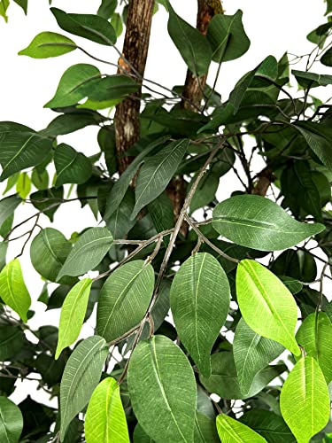 Hand-Made 6.5' Ficus Artificial Tree with Ethically Sourced Real Wood Trunks | Green | Cypress & Alabaster