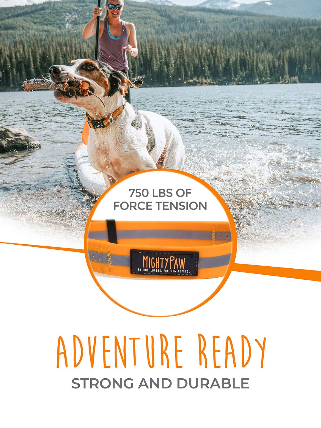 Mighty Paw Waterproof Dog Collar - Smell-Proof Active Gear - Reflective Stripe Coated Nylon Webbing - Waterproof Collar - Comfortable Dog Collar for All Dog Breeds - Dog Collar Durable (Green, Small)