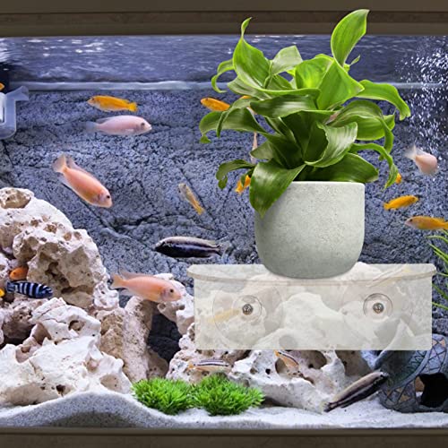 GANAZONO 1 Set Plant Support Plant Shelf Bonsai Stand Indoor Plant Pot Clear Plant Pot Wall Mount Floating Shelf Suction Cup Pot Racks Practical Plant Holders Suction Cup Plant Holders