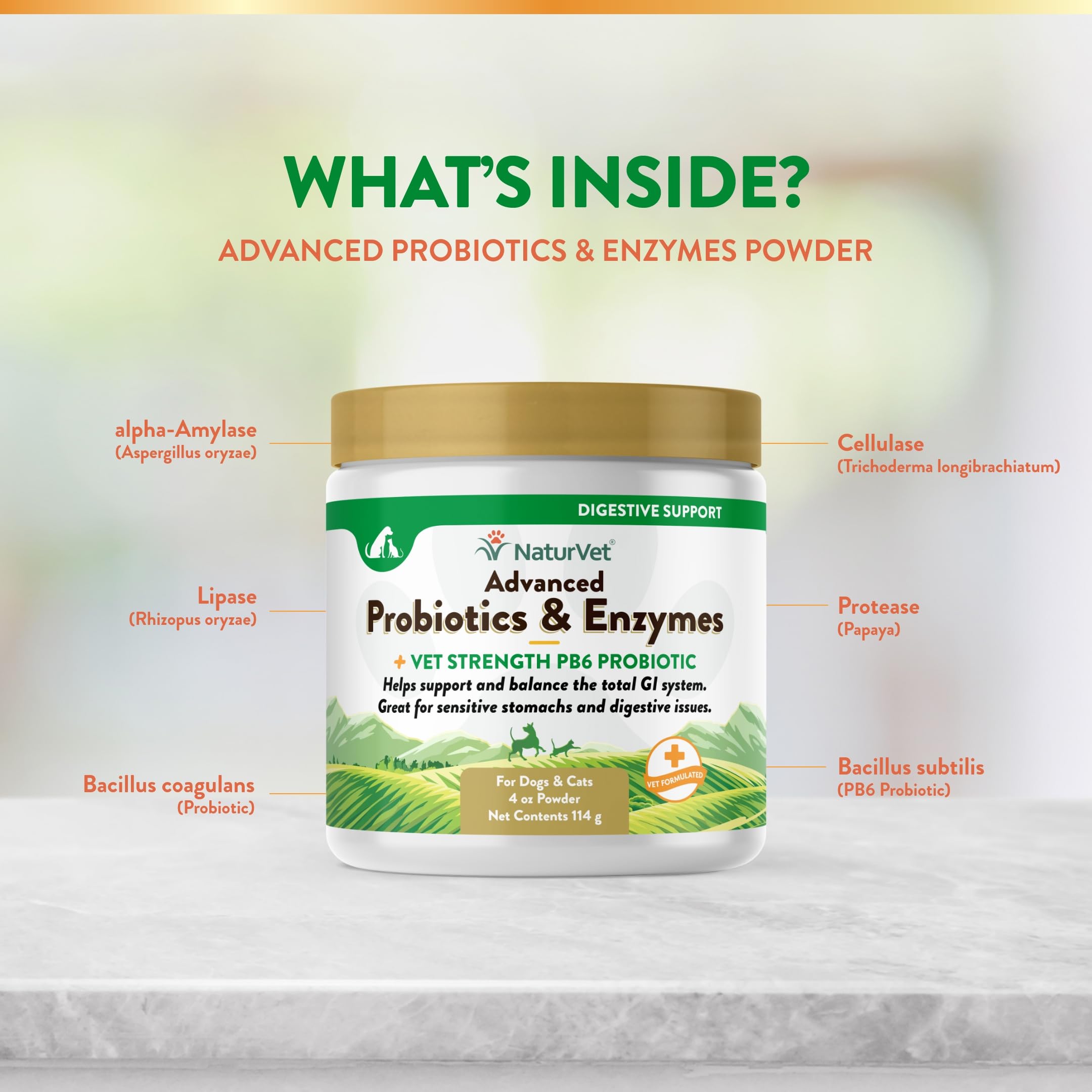 NaturVet โ Advanced Probiotics & Enzymes - Plus Vet Strength PB6 Probiotic | Supports and Balances Pets with Sensitive Stomachs & Digestive Issues | for Dogs & Cats (4 oz)