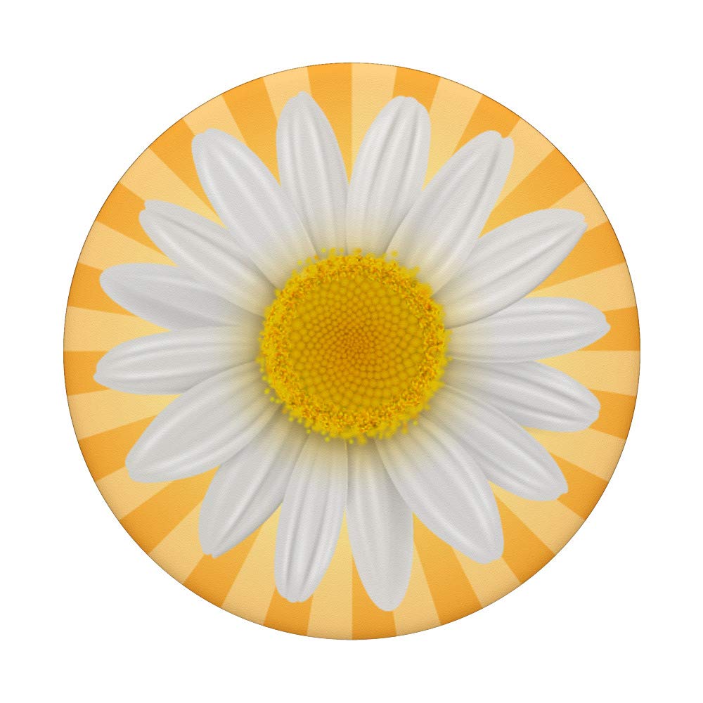 Cute White Flower Daisy With Yellow Sun Ray Background