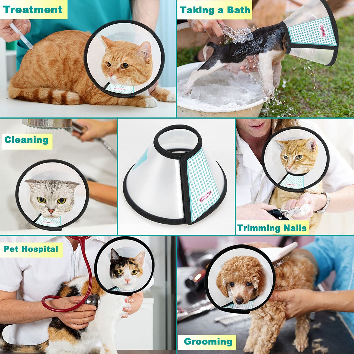 MintCat Cat Cone, Protective Cat Neck Cone for Cats After Surgery, 8.1 inches Cat Cone Collar Soft, Elizabethan Cat Surgery Collar for Cats, Adjustable Cat Cones to Stop Licking, Kitten Cone