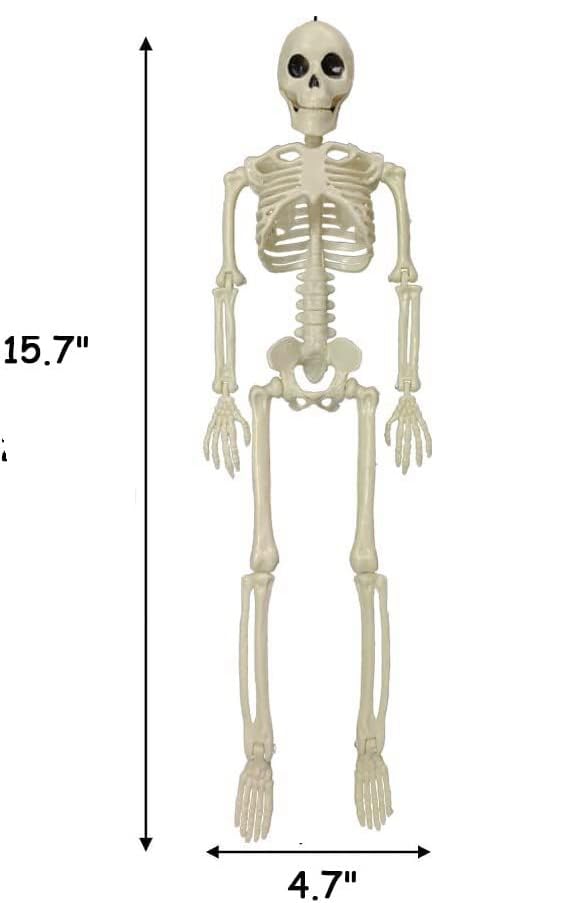 COYOAL Skeletons Decorations, 16'' Posable Plastic Skeleton, Full Body Skeleton with Movable Joints, Realistic Spooky Scary Skeletons for Indoor Party Haunted House Graveyard Props Decor