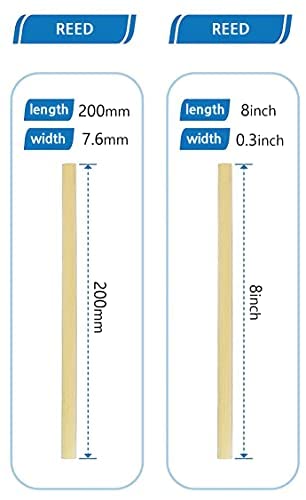 EcoAmiga Bamboo Straw, 8 Inch Reusable & Biodegradable Organic Bulk Straws β Great Ecological Alternative to Plastic Straws (Reed)