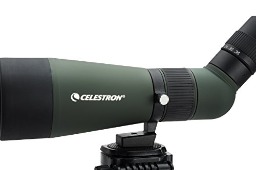 Celestron – LandScout 60mm Angled Spotting Scope – Fully Coated Optics – 12–36x Zoom Eyepiece – Rubber Armored – Tabletop Tripod