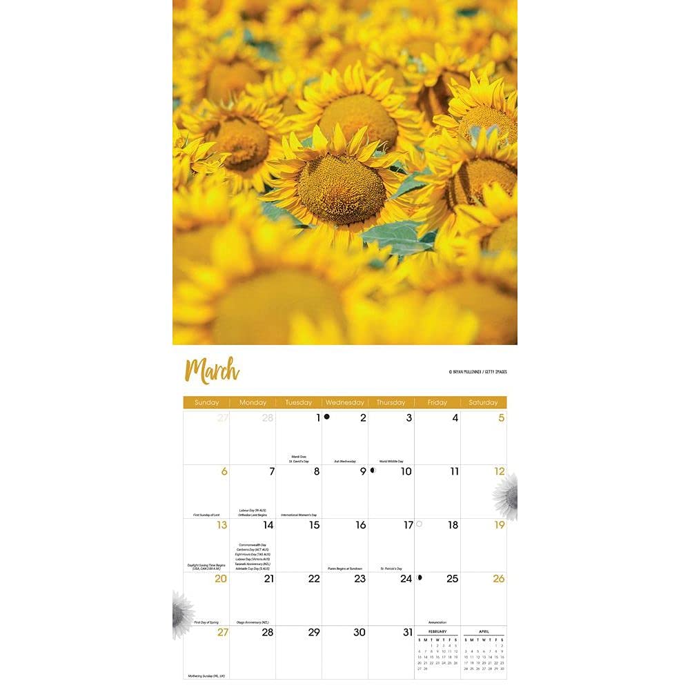 Carousel Calendars, Sunflowers 2022 Wall Calendar