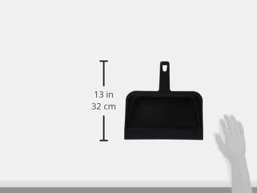 Genuine Joe GJO02406 Heavy-Duty Plastic Dust Pan, 12-inch,Black