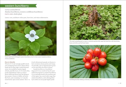 Pacific Northwest Medicinal Plants: Identify, Harvest, and Use 120 Wild Herbs for Health and Wellness (Medicinal Plants Series)