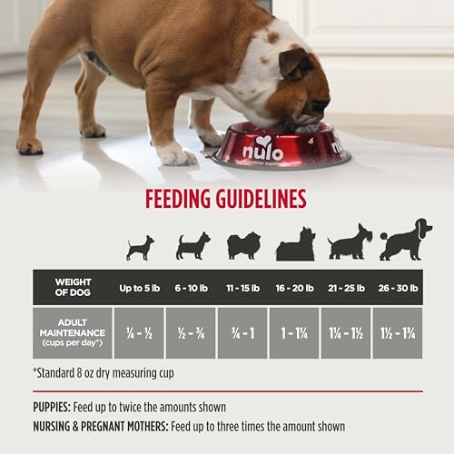 Nulo Frontrunner Small Breed Dry Dog Food, Premium Ancient Grain Small Kibble for Proper Chewing with Taurine for Heart Health and Probiotics for Digestive Support