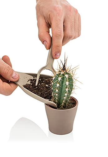 Generic Mini Garden Hand Transplanting Succulent Cacti Cactus Tools Miniature Planting, Set for Fairy Garden, Potting, Houseplant, Bonsai Tools, Bonsai Kit, Shovel, Fork, Green