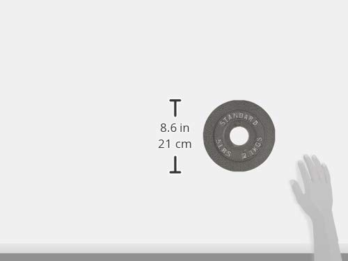 CAP Barbell Olympic 2-Inch Weight Plate, Gray