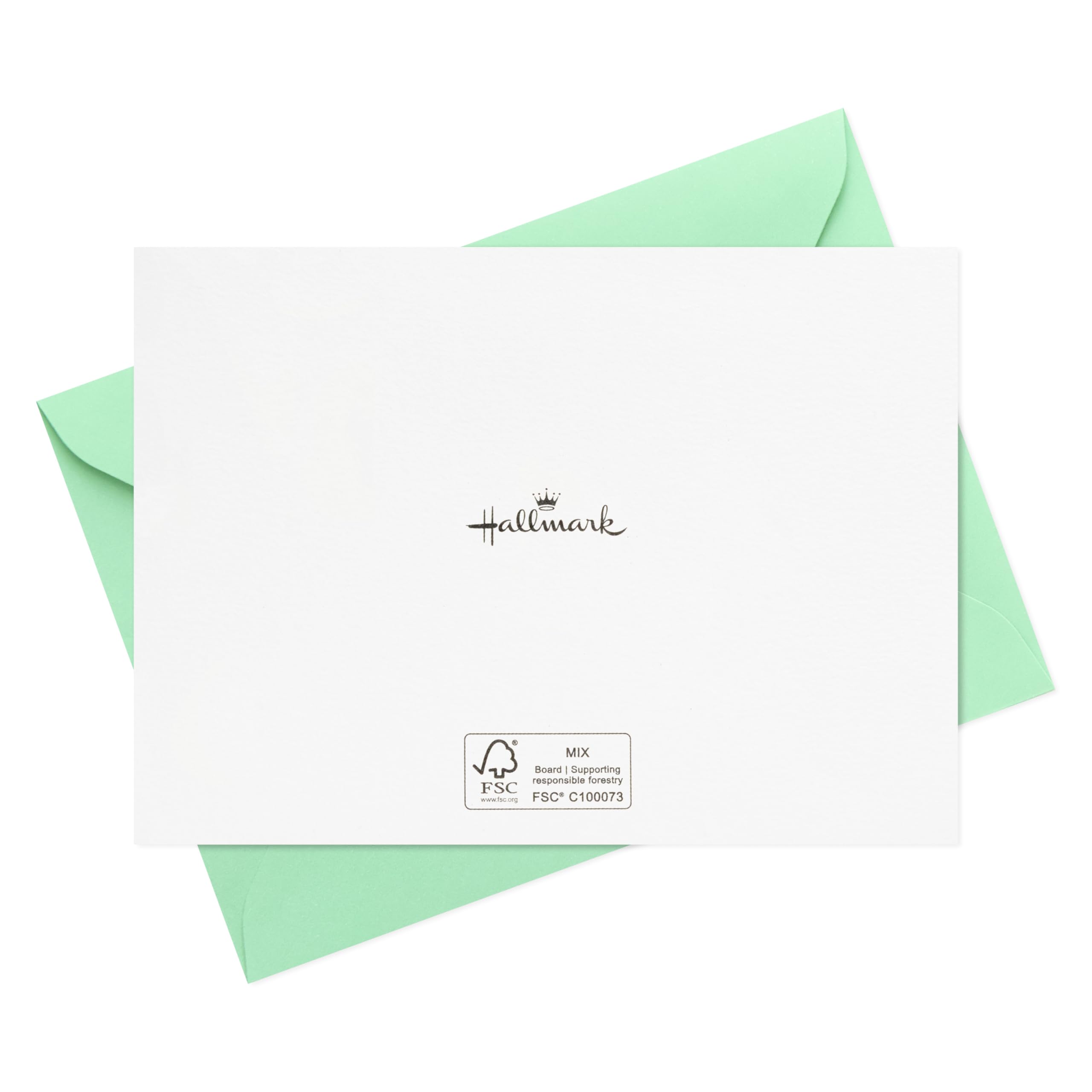 Hallmark Minimalist Thank You Note Card Assortment (48 Blank Cards with Envelopes) Mint Chevron, Blush Polka Dot, Stripes