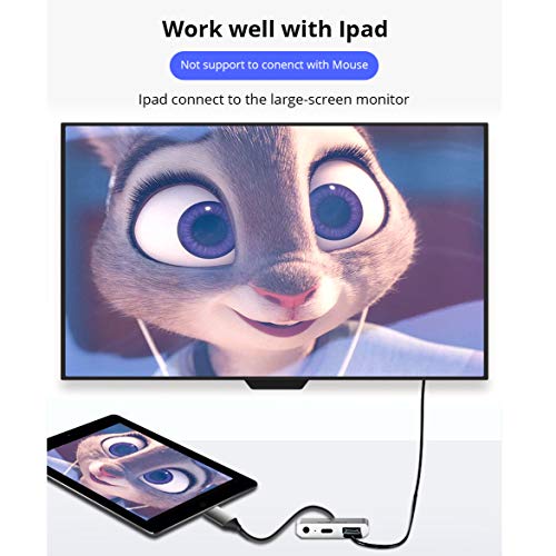 MINIX NEO C-HAGR, USB-C 3.5mm Audio Jack Adapte with to 4K @ 60Hz Display Output, Multi OS Support macOS, iPadOS, Android OS and Windows OS. Silver
