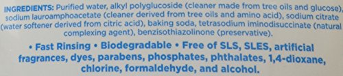 Dapple Baby Bottle & Dish Liquid - Fragrance Free, 16.9 Fl Oz (Pack of 2)
