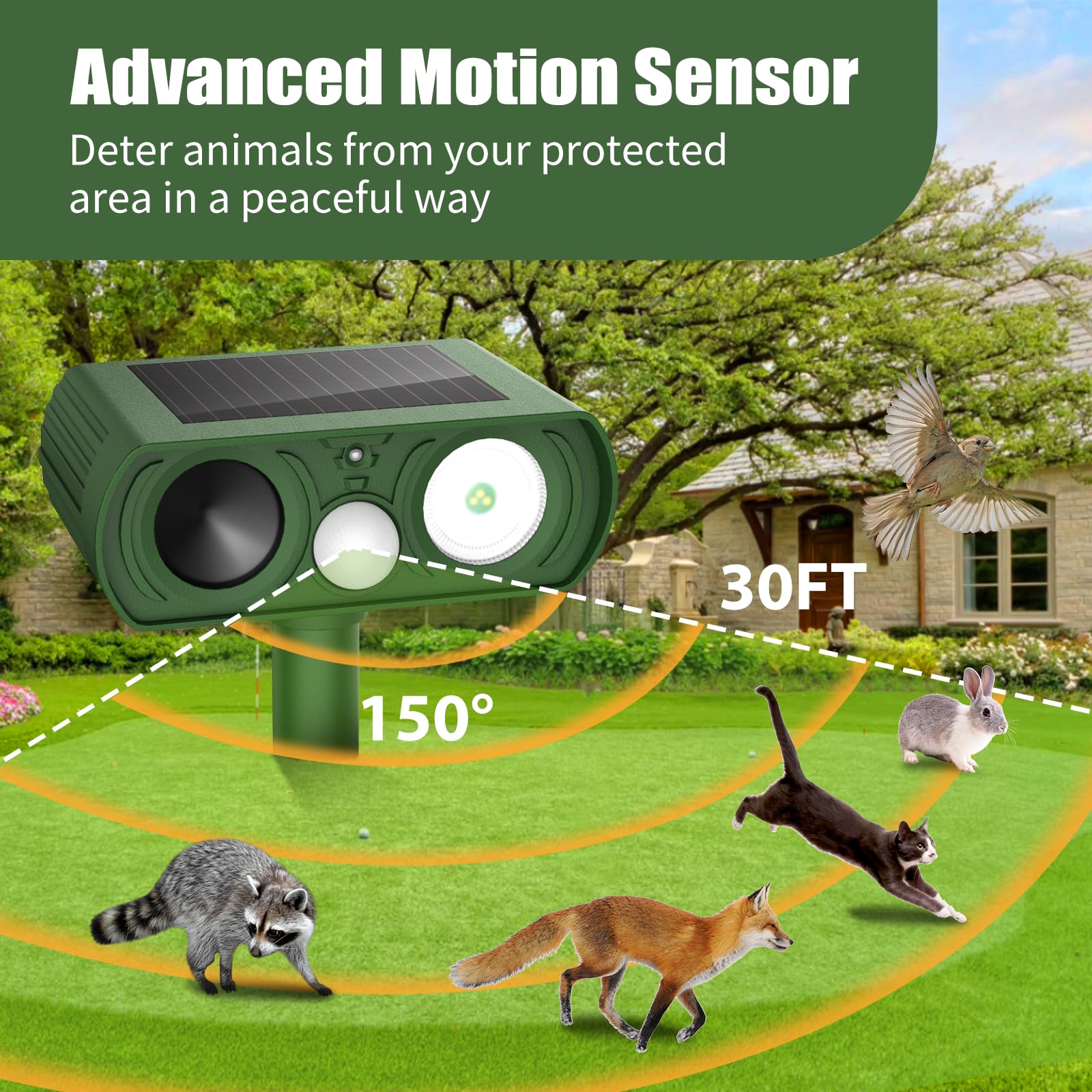 FEARLEFT Solar Ultrasonic Animal Repellent, Cat Raccoon Repellent Outdoor