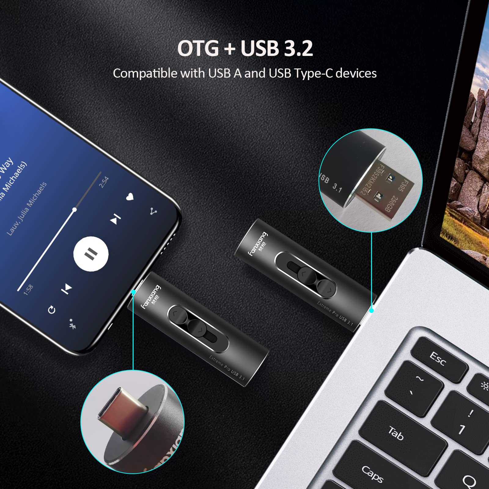 Fanxiang F395 256GB Solid State Flash Drive USB C Thumb Drive, USB 3.1 Dual Interface USB Type-C Memory Photo Stick 550MB/s Super Fast Transfer Speed for OTG Type-C Phone, PC, Laptop, MacBook(Black)