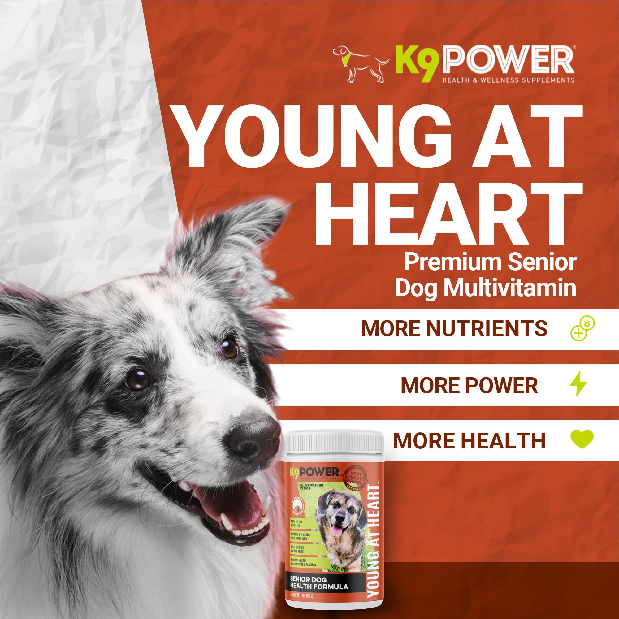 K9 Power Young at Heart Senior Dog Multivitamin 1 lb β Advanced Supplement for Seniors β Supports Brain, Heart, Vision, Joint Health, and Mobility