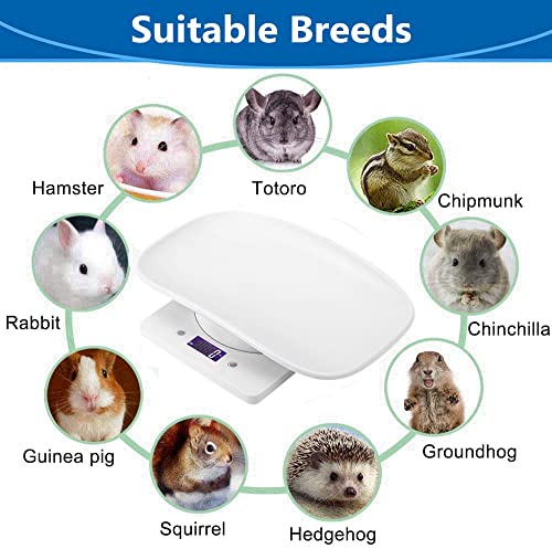 Small Animal Scale - LCD Electronic Scales with 3 Weighing Modes Multifunctional Digital Pet Scale for Ferret Hamster Hedgehog Lizard New Born Kitten Puppy (Max: 22lbs) (White)
