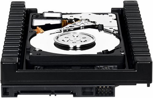 Western Digital 300 GB VelociRaptor SATA 3 Gb/s 10,000 RPM 16 MB Cache Bulk/OEM Enterprise Hard Drive - WD3000HLFS