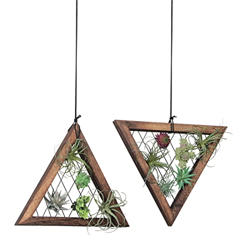 J JACKCUBE DESIGN Air Plant Triangle Frame Hanging Airplant Holder, Rustic Wood Tillandsia, Succulent Plants Display Hanger Shelf for Wall Décor, Set of 2- MK1061A