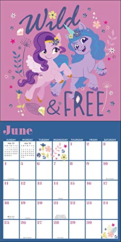 My Little Pony 2023 Wall Calendar