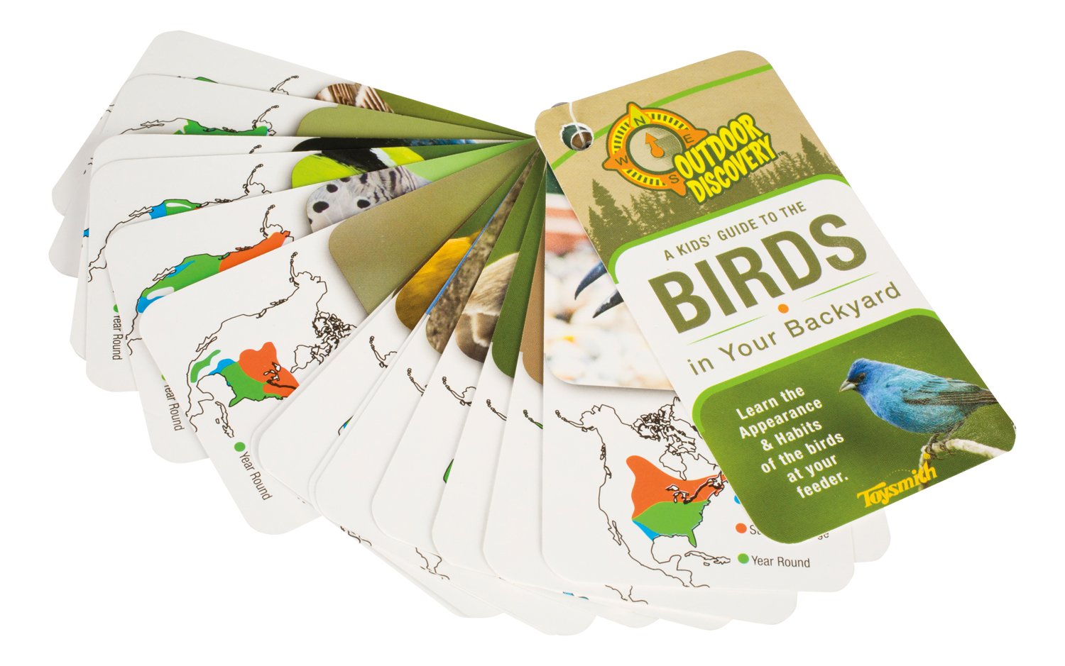 Toysmith Little Birder Set Outdoor Discovery , Blue