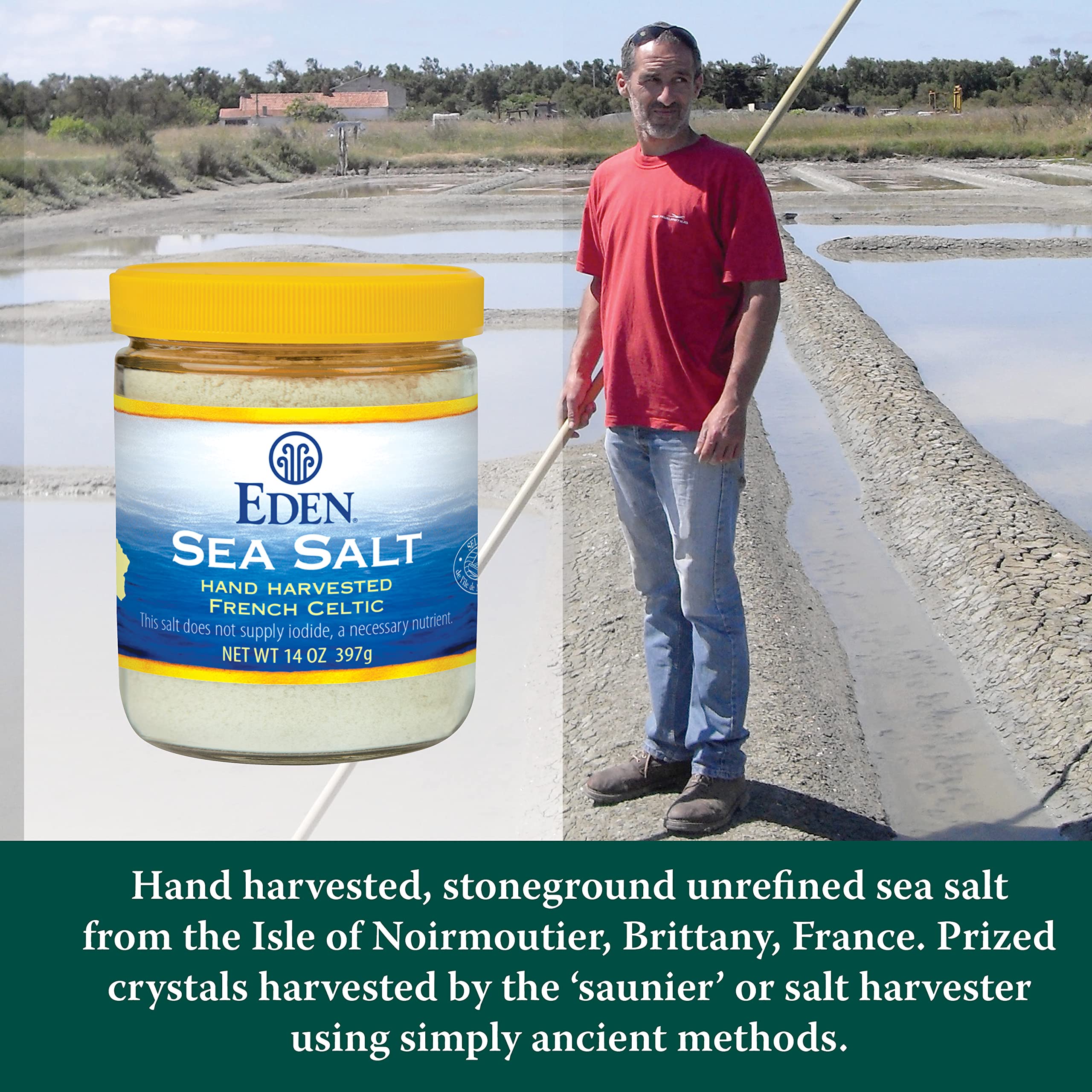 Eden Sea Salt, Hand Harvested French Celtic, Stone Ground (Fine), 82 Trace Minerals, Unrefined, Glass Jar, 14 oz