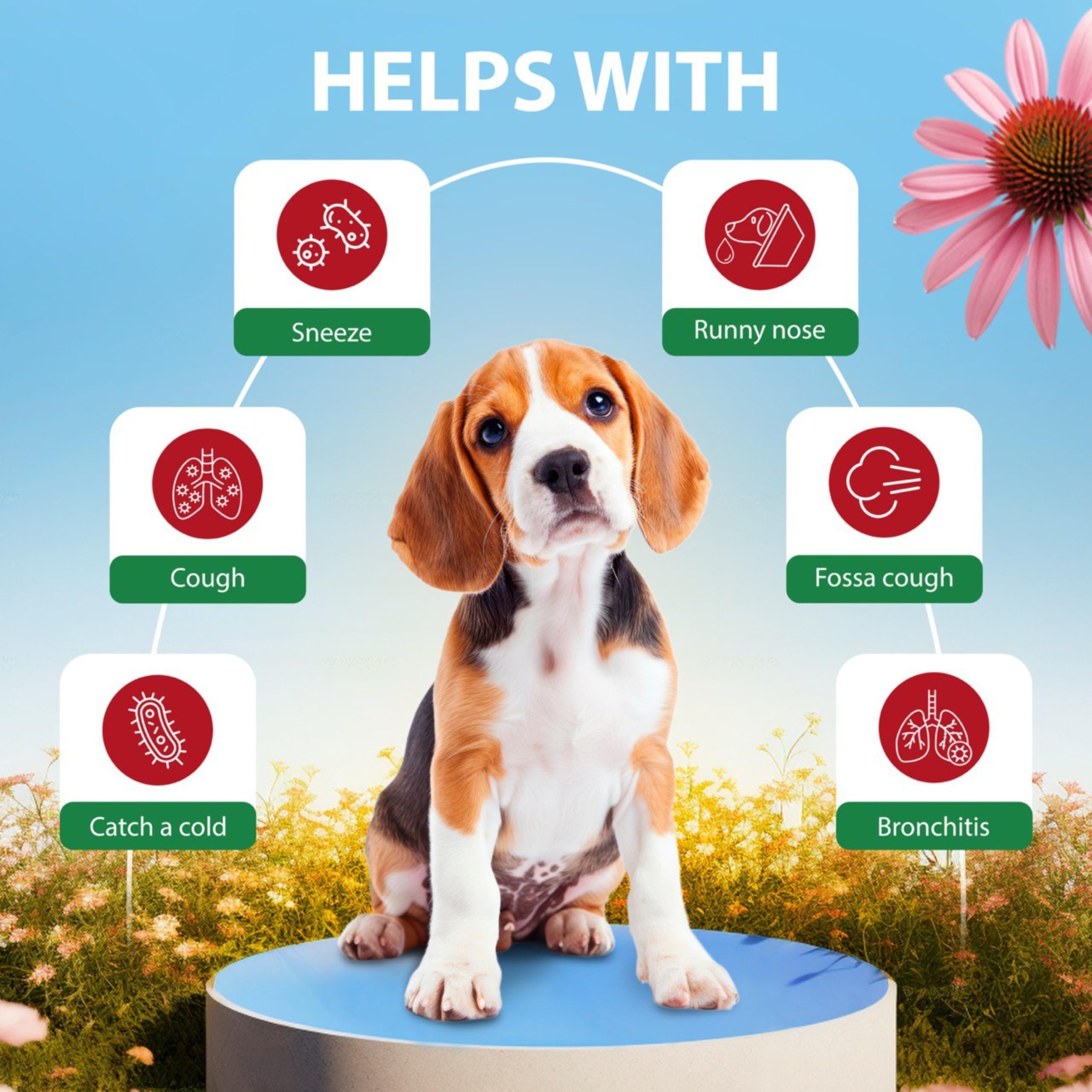Kennel Cough Drops for Dogs & Cats - Allergy Relief - Cough Relief Dry and Wet Pet Cough - for Dogs of All Breeds & Sizes