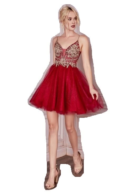 Cinderella Divine CD0190 Short A-LINE Cocktail Dress - Burgundy (S)