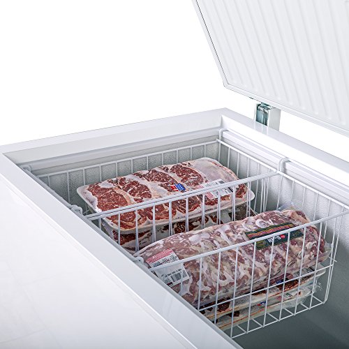 DUURA DCF30 Chest Sub Zero Commercial Freezer with Split Top Double Locking Lids, Indoor or Outdoor Ready for Garage, Basement, Restaurant, Cafe, Cu. Ft, White, 30 cu.ft
