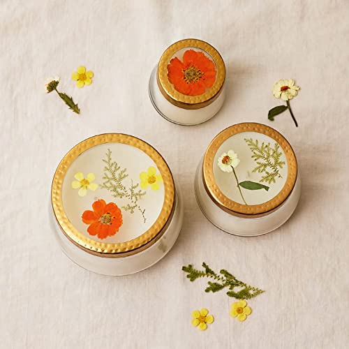 Pressed Floral Candle - Aromatherapy Candles, Long Lasting Candles, Luxury Candles, Luxury Candles Gifts (Sunlit Neroli, 21 oz)