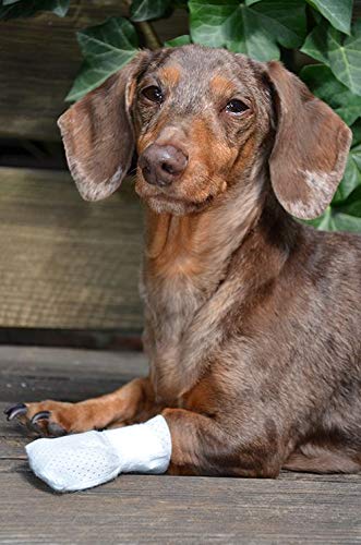 PawFlex Medimitt Paw Bandages for Dogs, Cats and Pets Medical Booties, First aid for Paws Non Slip, Non Adhesive, Breathable,Disposable, Washable, Adjustable Strap, Value Pack (X-Small 12-Pack)