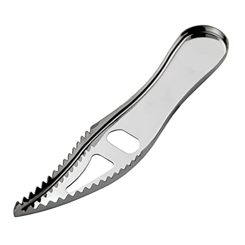 Stainless Steel Fishs Scale Scraper Cleaner Peeler Scaler Remover Cooking Seafood Tools Bottle Opener(1pc)