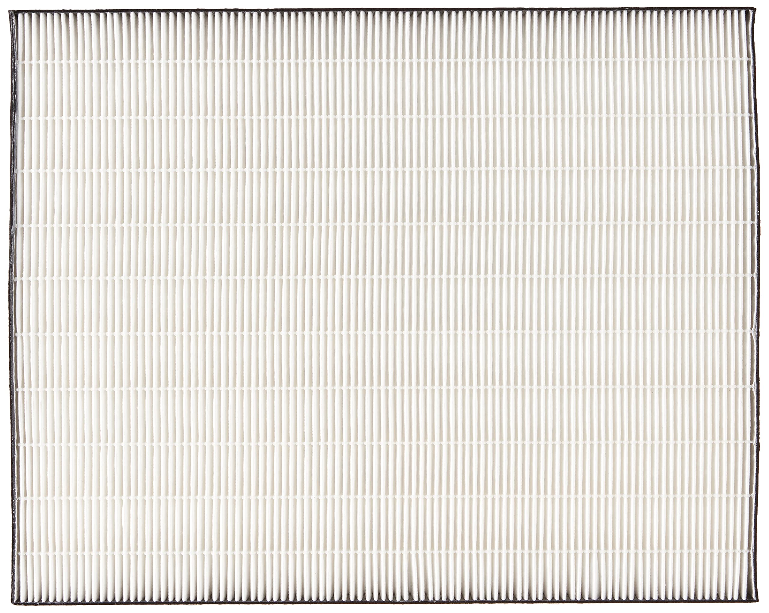 Sharp FZF60HFU True Hepa Replacement Filter for FP-F60UW