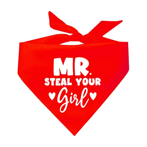 Mr. Steal Your Girl Dog Bandana (Assorted Colors)