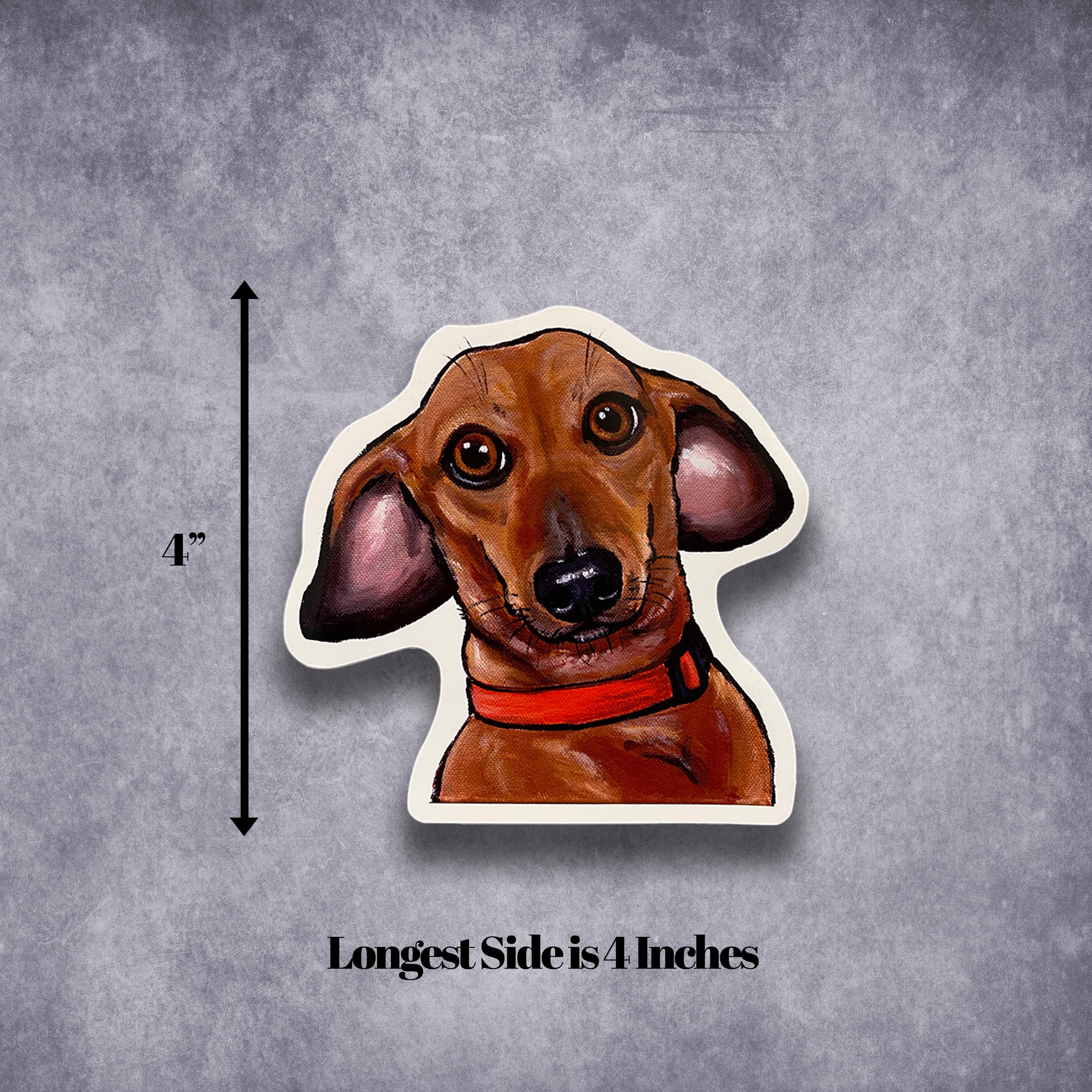 Dachshund Sticker set of Two, Cute Dachshund Vinyl Sticker, Dachshund Sticker for Car or Laptop