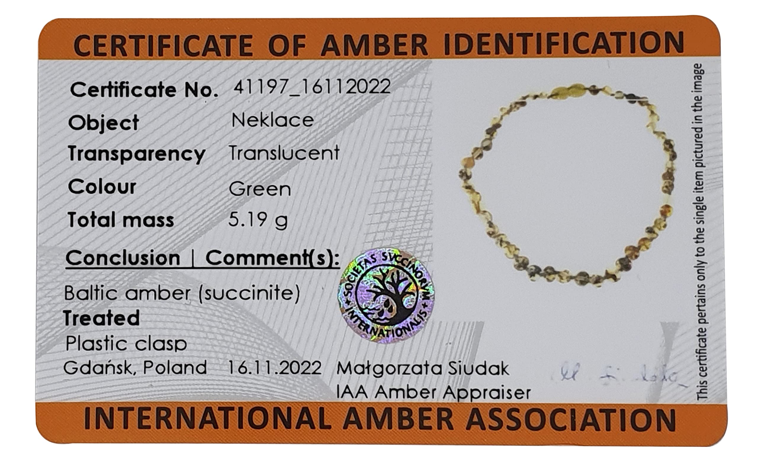 Genuine Amber Anklet From Baltic Sea Made with Polished Green & Shell Pearl 24 cm (9.4 Inches).