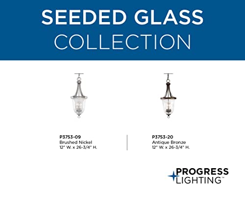 Progress Lighting P3753-20 Seeded Glass Hall & Foyer, Bronze
