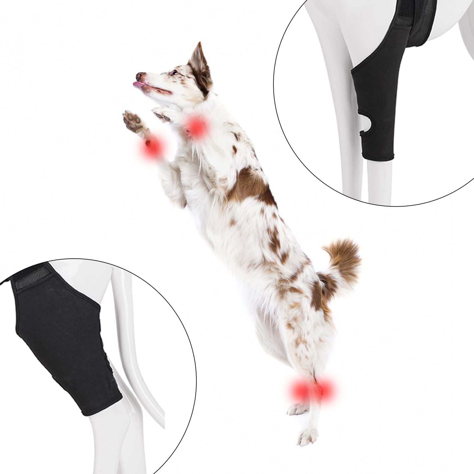 LKJYBG Pet Dog Knee Brace Adjustable Multifunctional Protective Gear with Magic Stickers for Wounds Heals Black M