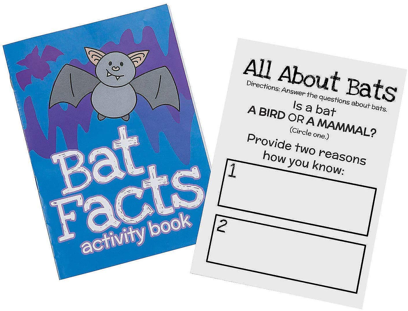 Stellaluna Gift Set Special Edition Hardcover by Janell Cannon, Stellaluna Stuffed Animal, Activity Booklet, Downloadable Crafts with Activity Kit and Create a Bat Artwork Gift Set
