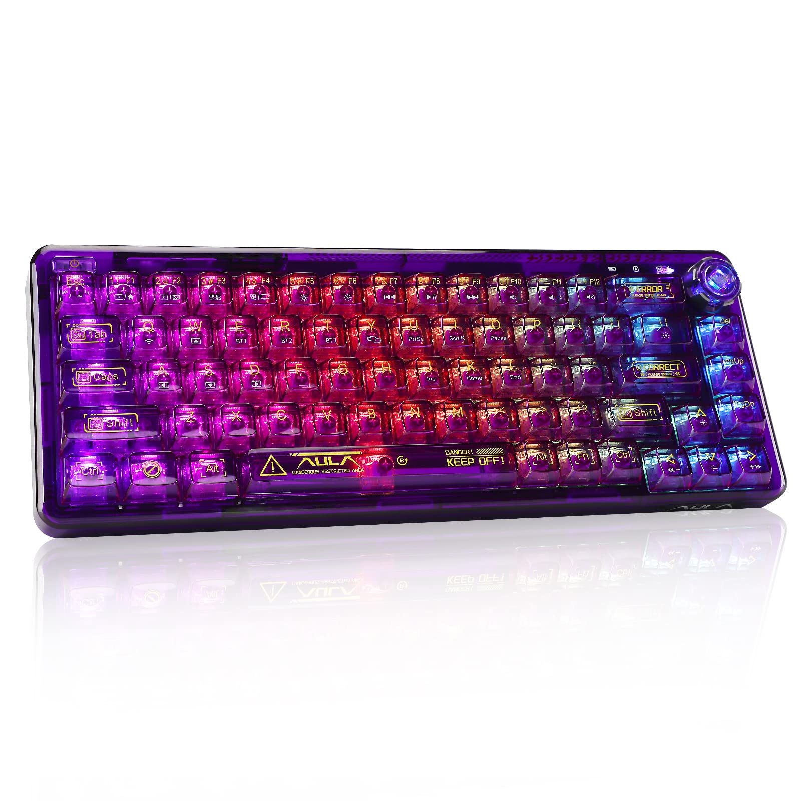 CHICHEN 60% Portable Mechanical Gaming Keyboard,Hot-swappable RGB Backlit Compact 68 Clear Keycaps,2.4Ghz wireless/Bluetooth/USB-C,Transparent Gasket Ice Crystal Switch (Transparent Black)