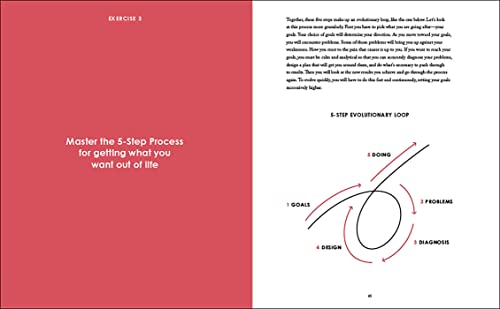 Principles: Your Guided Journal (Create Your Own Principles to Get the Work and Life You Want)