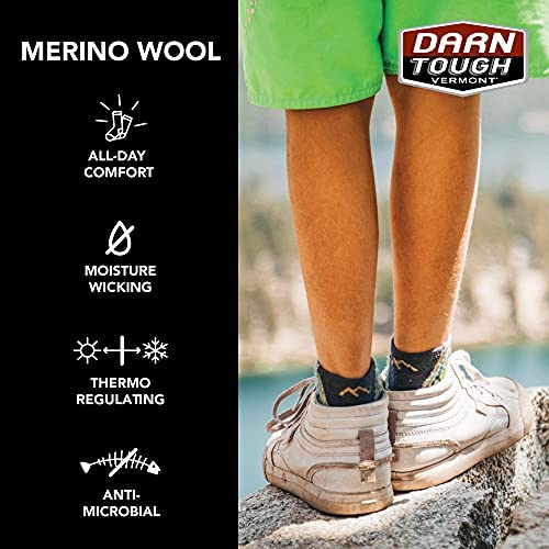 Darn Tough 3023-C-3021-05 Light Hiker Jr. Micro Crew Lightweight with Cushion Gray Large