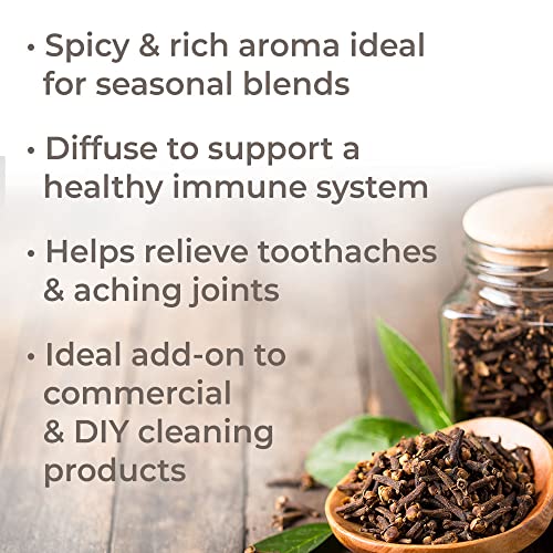 Plant Therapy Clove Bud Essential Oil 100% Pure, Undiluted, Natural Aromatherapy, Therapeutic Grade 10 mL (1/3 oz)