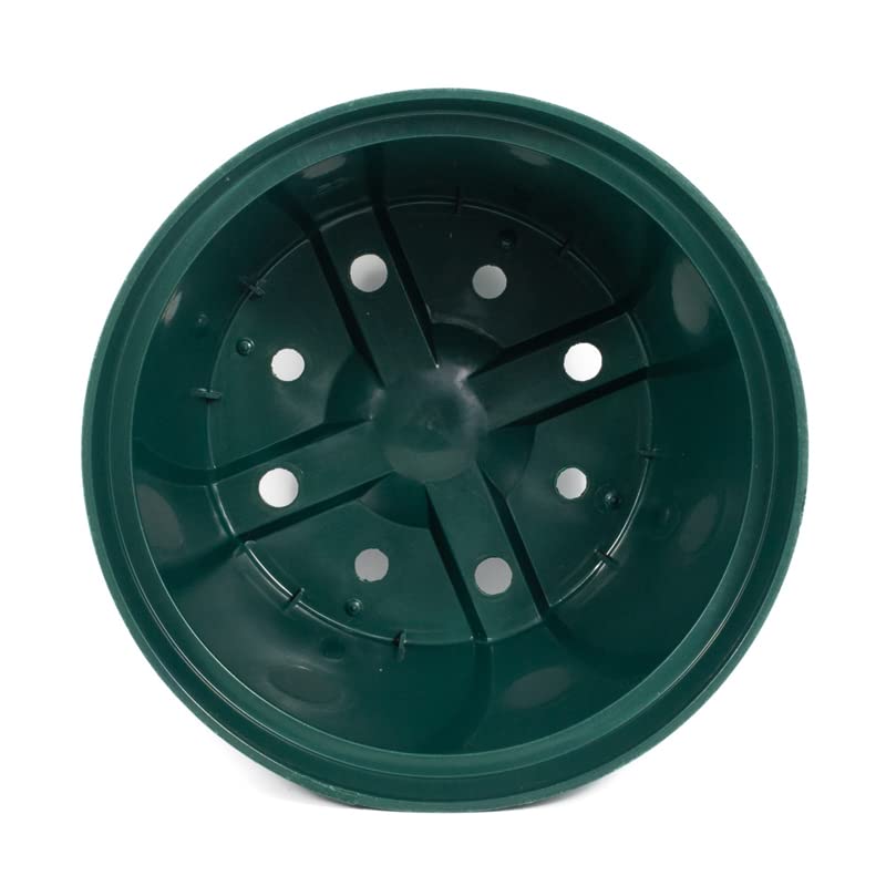 DAPERCI inches Nursery Pot Plant Grow Sturdy Flower pots in Bulk Price 20P Green
