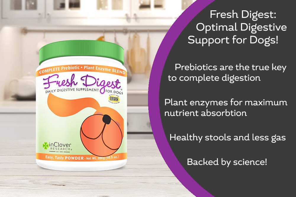 In Clover Fresh Digest Daily Digestive Aid and Immune Support Supplement for Dogs, All Natural Prebiotic and Enzyme Powder for Less Gas and Healthy Stools, Works Fast 100 gram (3.5 oz.)