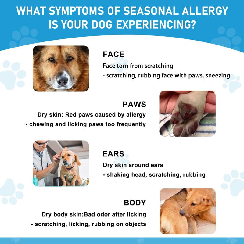 GKD Dog Allergies Relief - Trusted Formula, Allergy Itch Relief, Fish Oil Soft Chews, Helps Reduce Normal Shedding, Probiotics for Healthy Skin & Coat